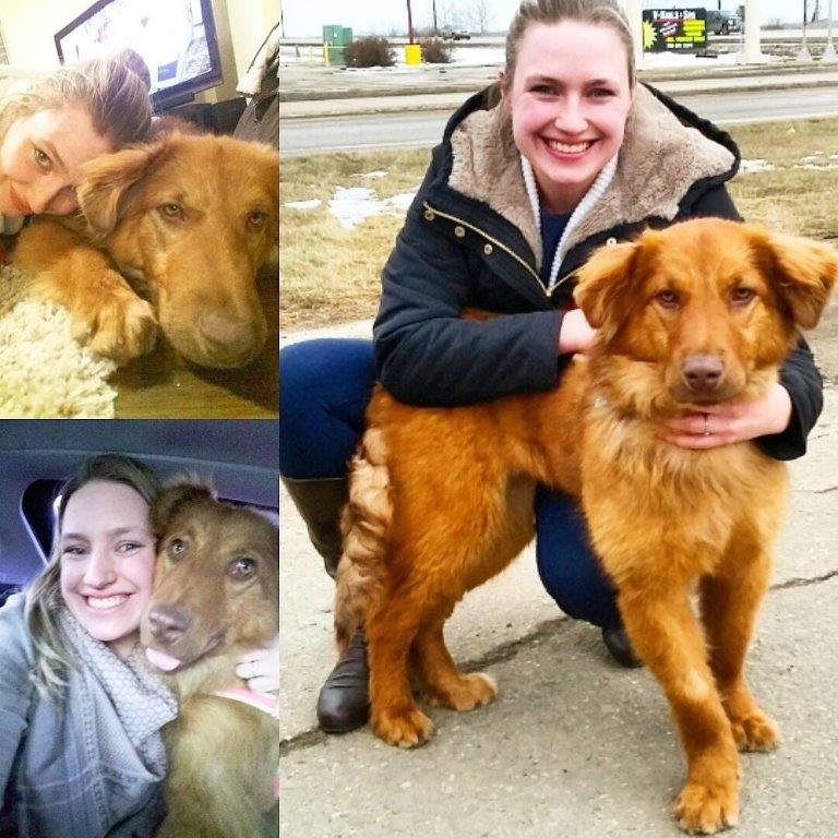 Orrie-Leena (5) - Second Chance Animal Rescue Society