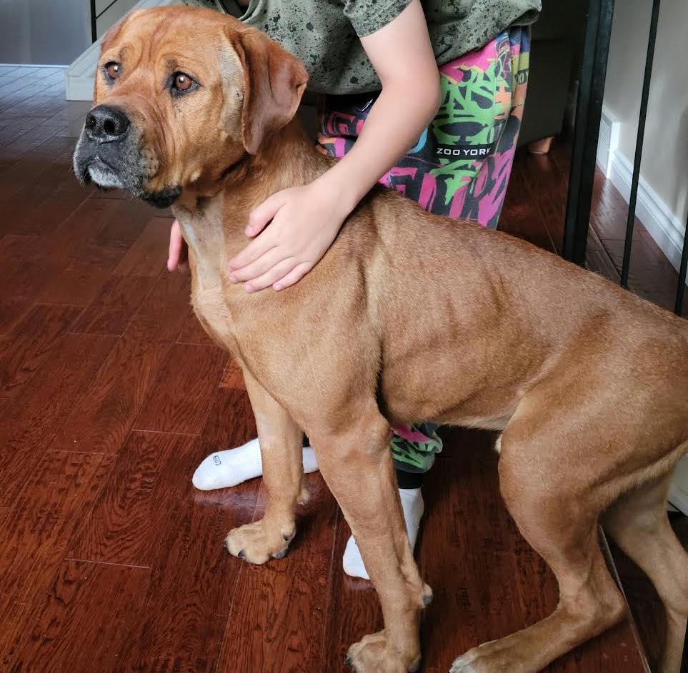 Muskwa-6 - Second Chance Animal Rescue Society